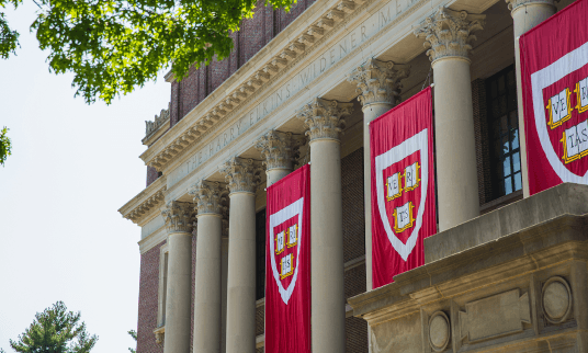 Explore online executive education programs from Harvard | edX